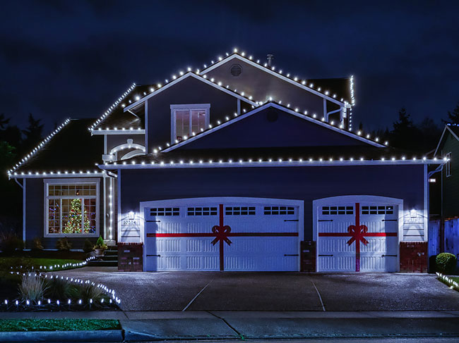 4 Pro Tips For Planning Your Custom Seasonal Lighting | Carolina ...
